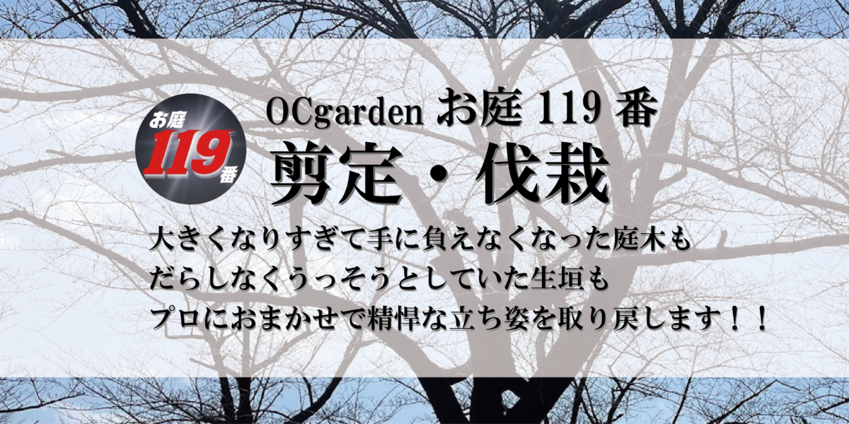 剪定・伐採 | OCgarden（オーシーガーデン）